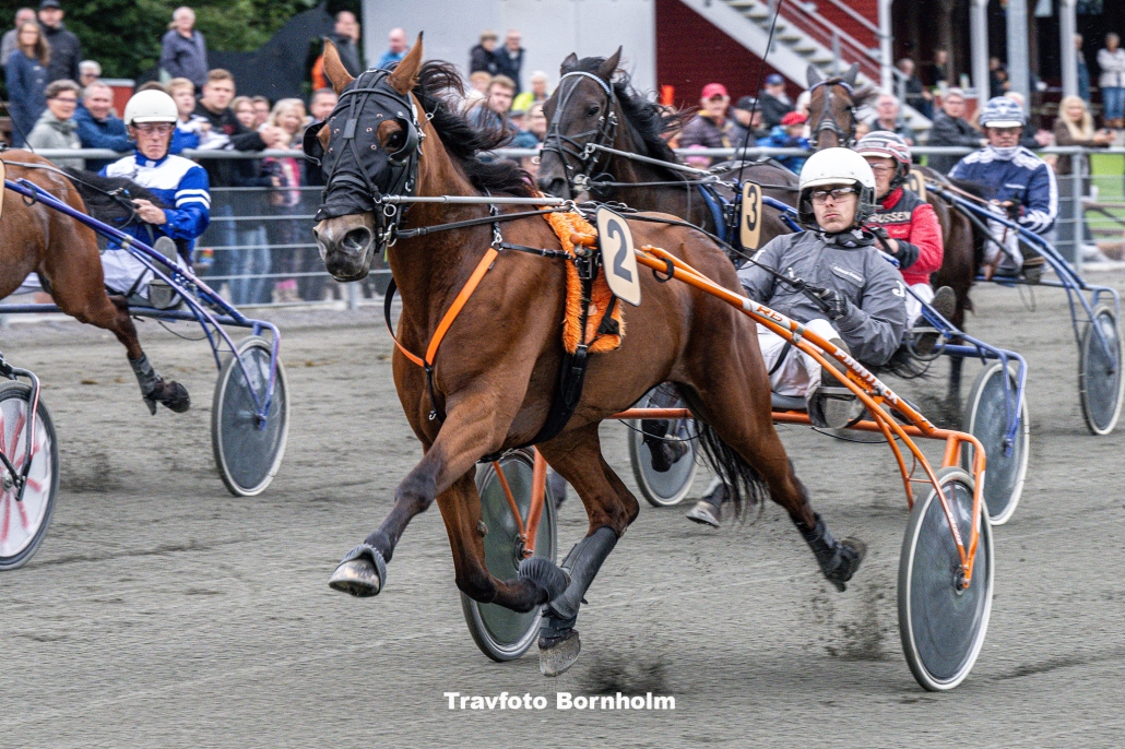 Set og sket - Stutteri Ice